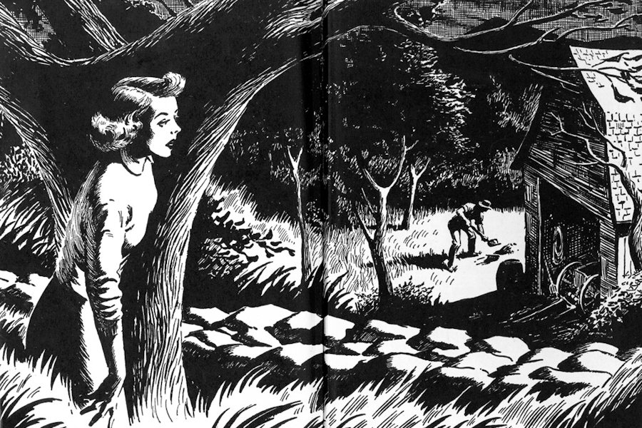 The Real Story Behind the Nancy Drew Mystery Books - Hey Marday